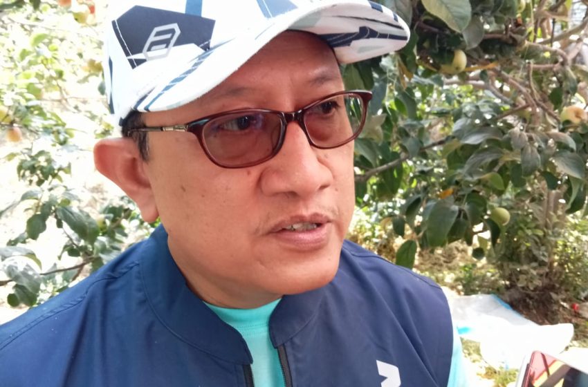 Buah Naga dan Durian Kalteng Mampu Tingkatkan Sektor Pariwisata. Taufik ... Buah Naga dan Durian Kalteng Mampu Tingkatkan Sektor Pariwisata. Taufik ...